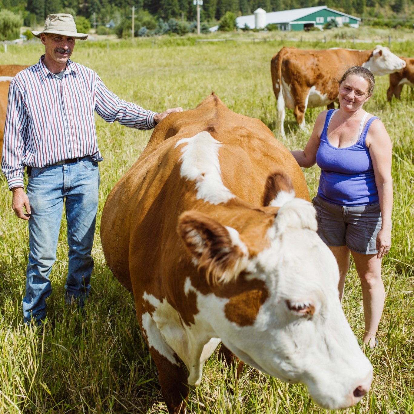 Tarzwell Farms - Kootenay Co-op